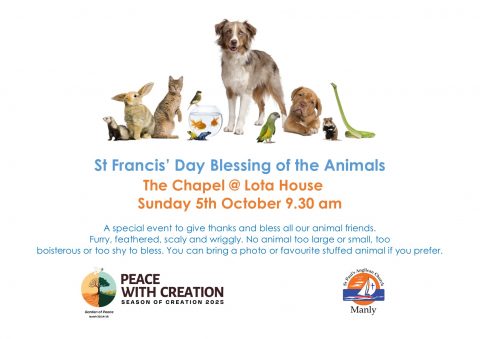 Home - St Paul's Manly